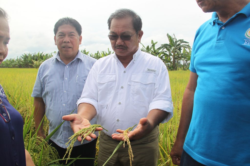 VERA FILES FACT CHECK: Piñol wrongly claims there were no major issues ...