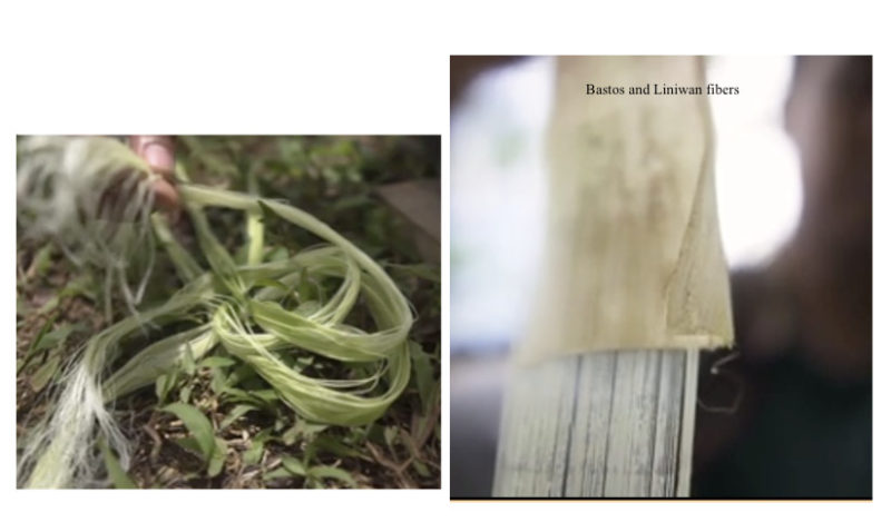 Piña: The queen of Philippine handwoven textiles - VERA Files