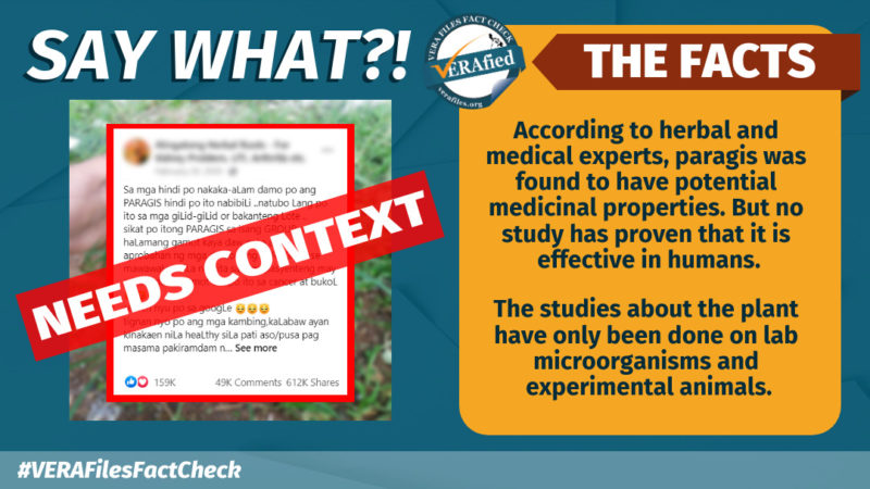 VERA FILES FACT CHECK: Post claiming therapeutic effect of paragis ...