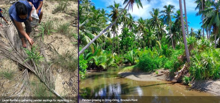 Revitalize! Weavers, Culture, and Forests - VERA Files