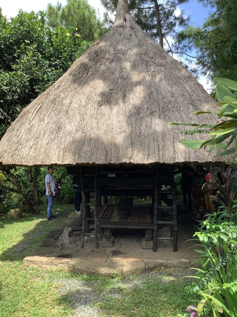 Shambala Silang's dreamer, doer, revolutionary - VERA Files