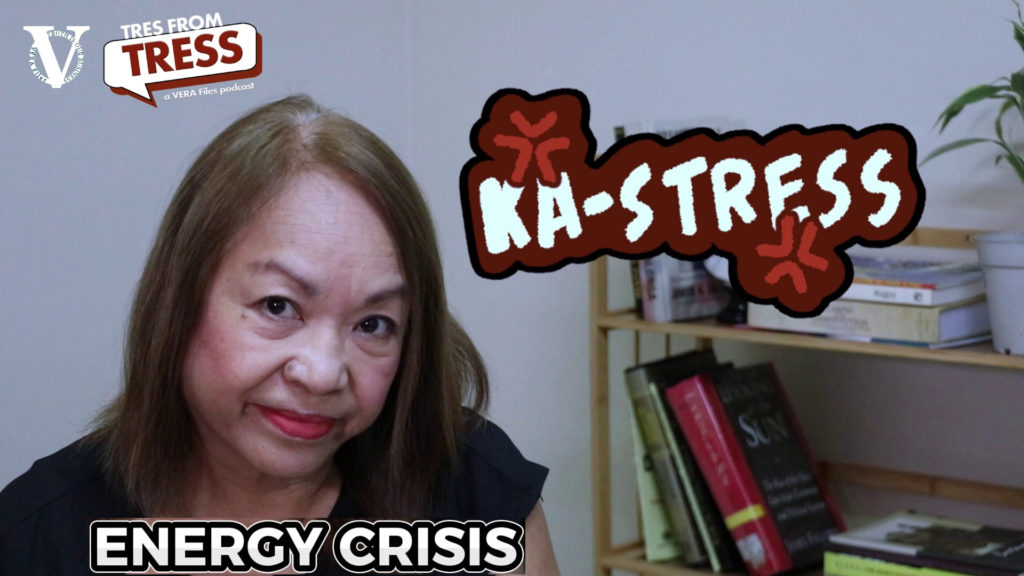 Energy crisis Archives - VERA Files