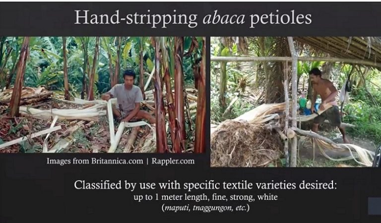 The Bagobo red cloth: An enduring legacy - VERA Files