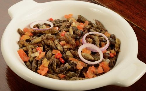 Eat your fear: Edible insects