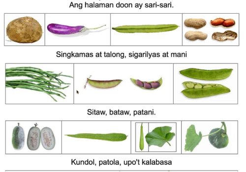 Bahay Kubo veggies