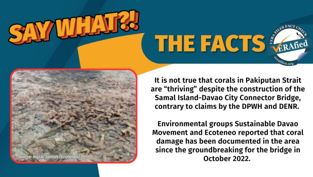 Coral reefs NOT thriving with construction of Samal-Davao Bridge